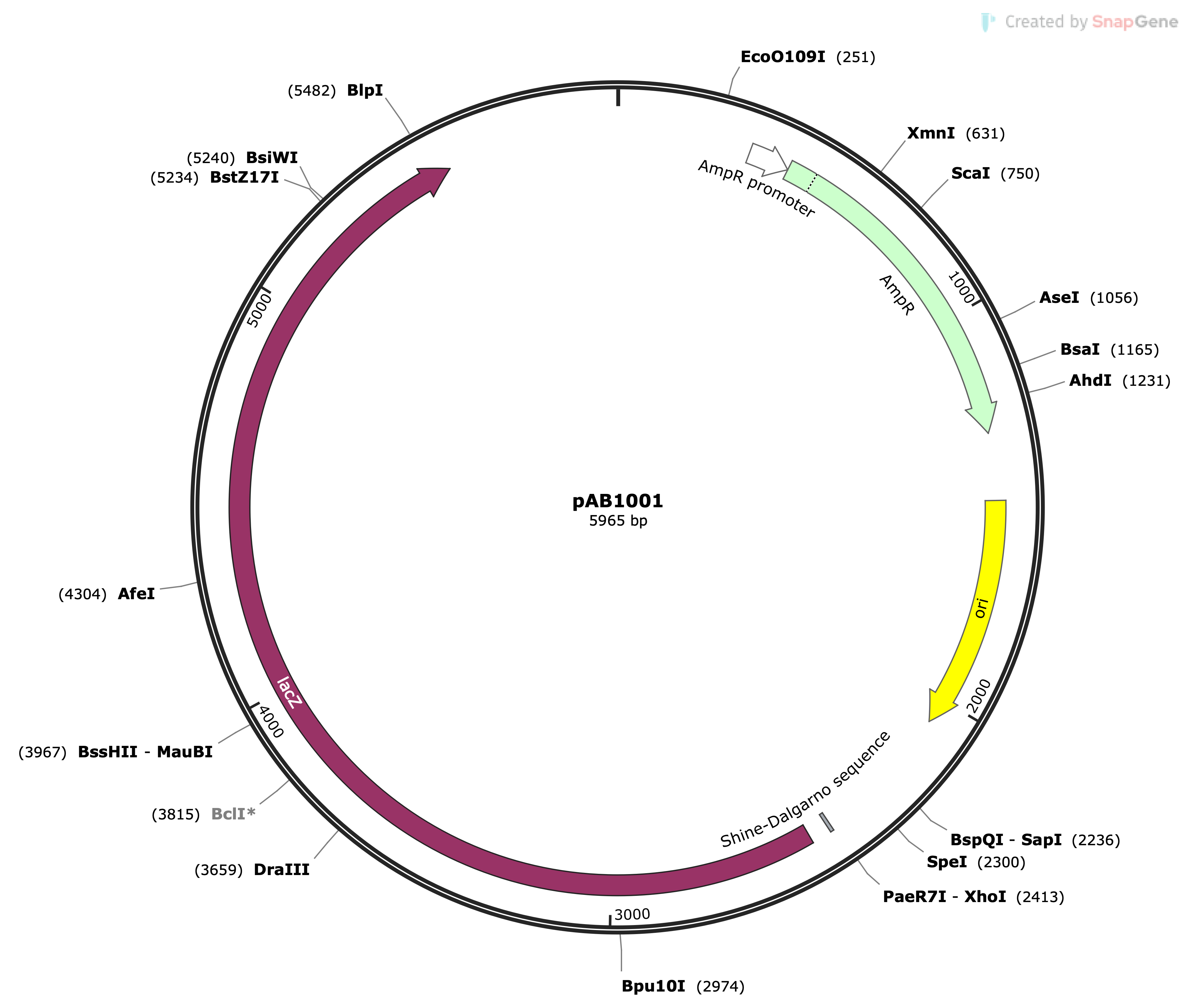 NBRP E.coli Strain