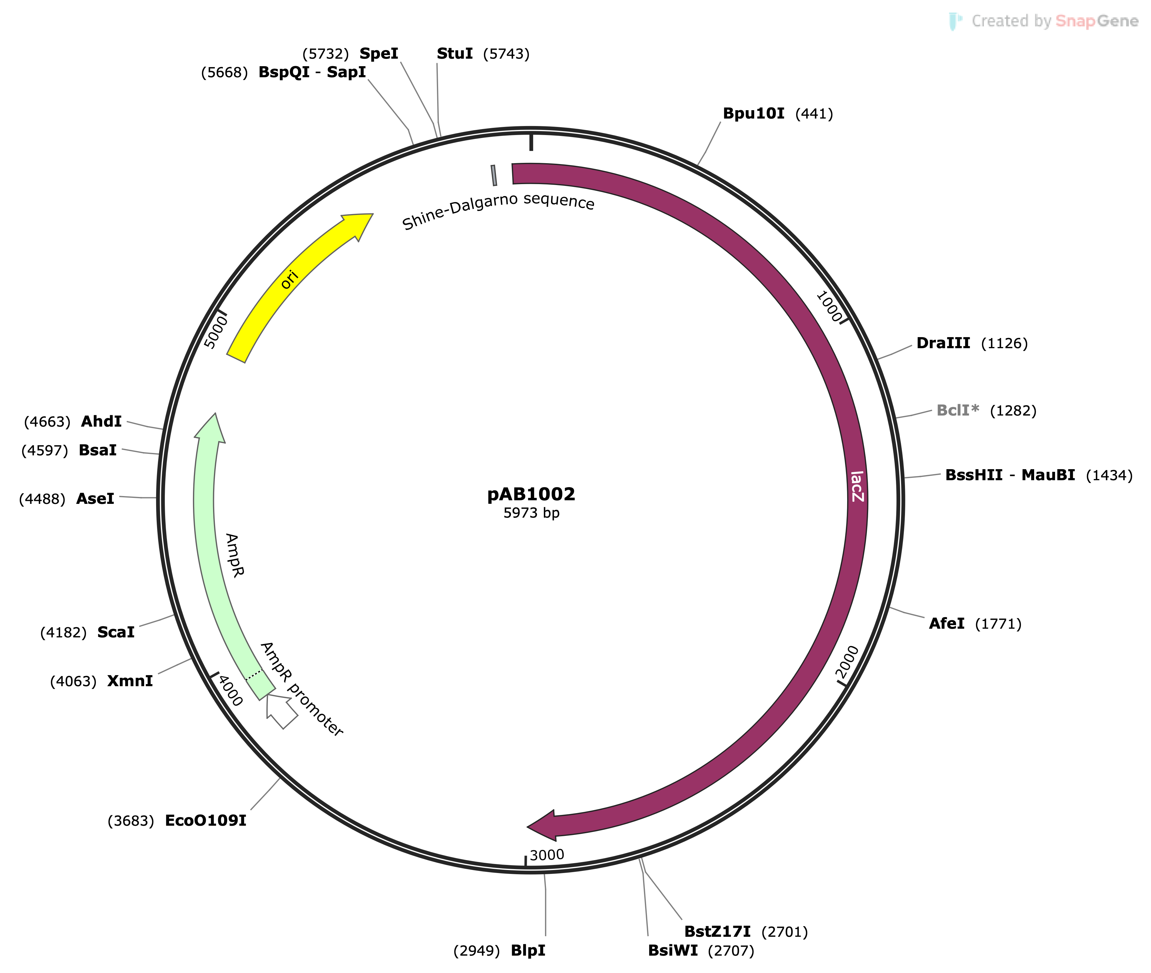 NBRP E.coli Strain