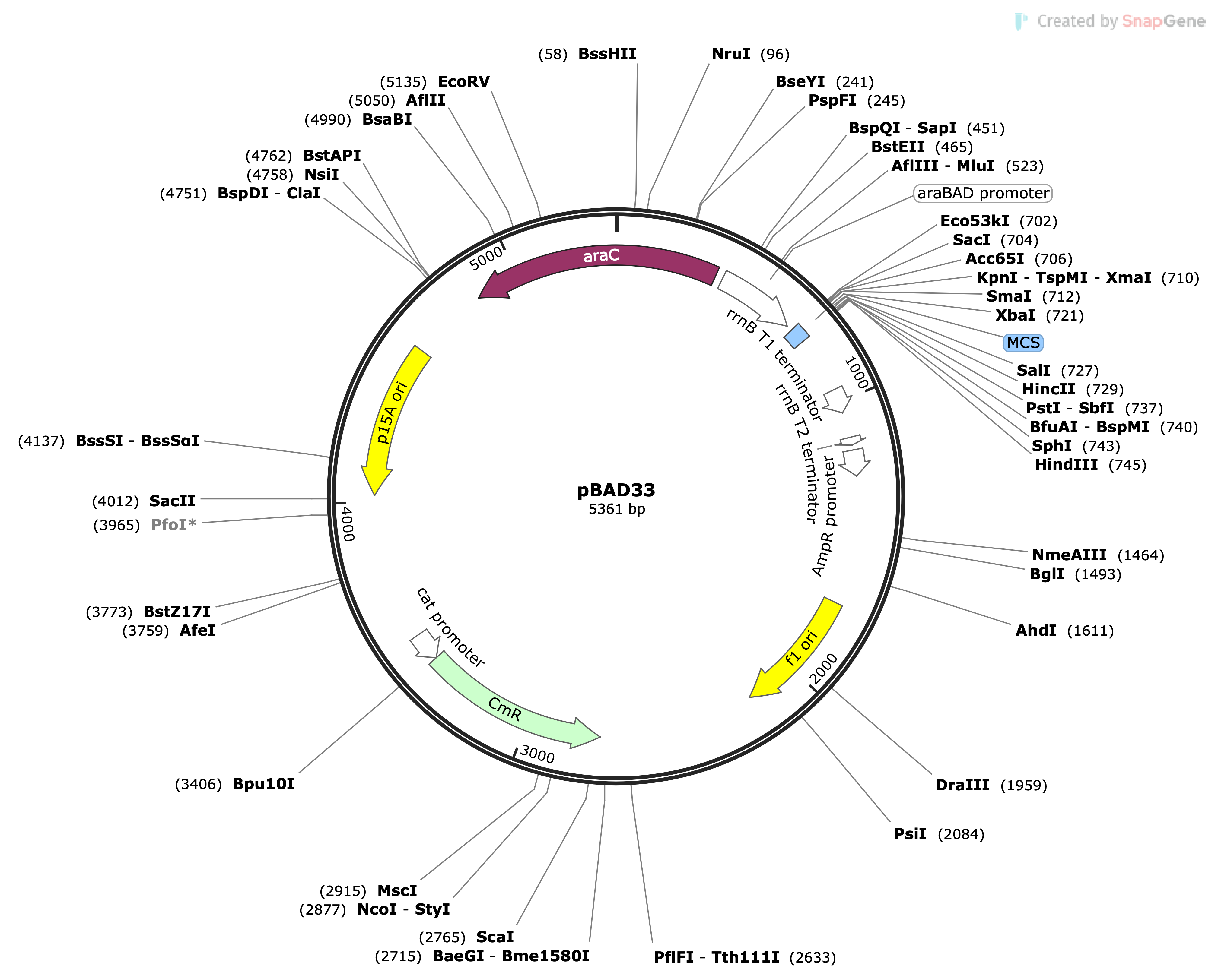 NBRP E.coli Strain