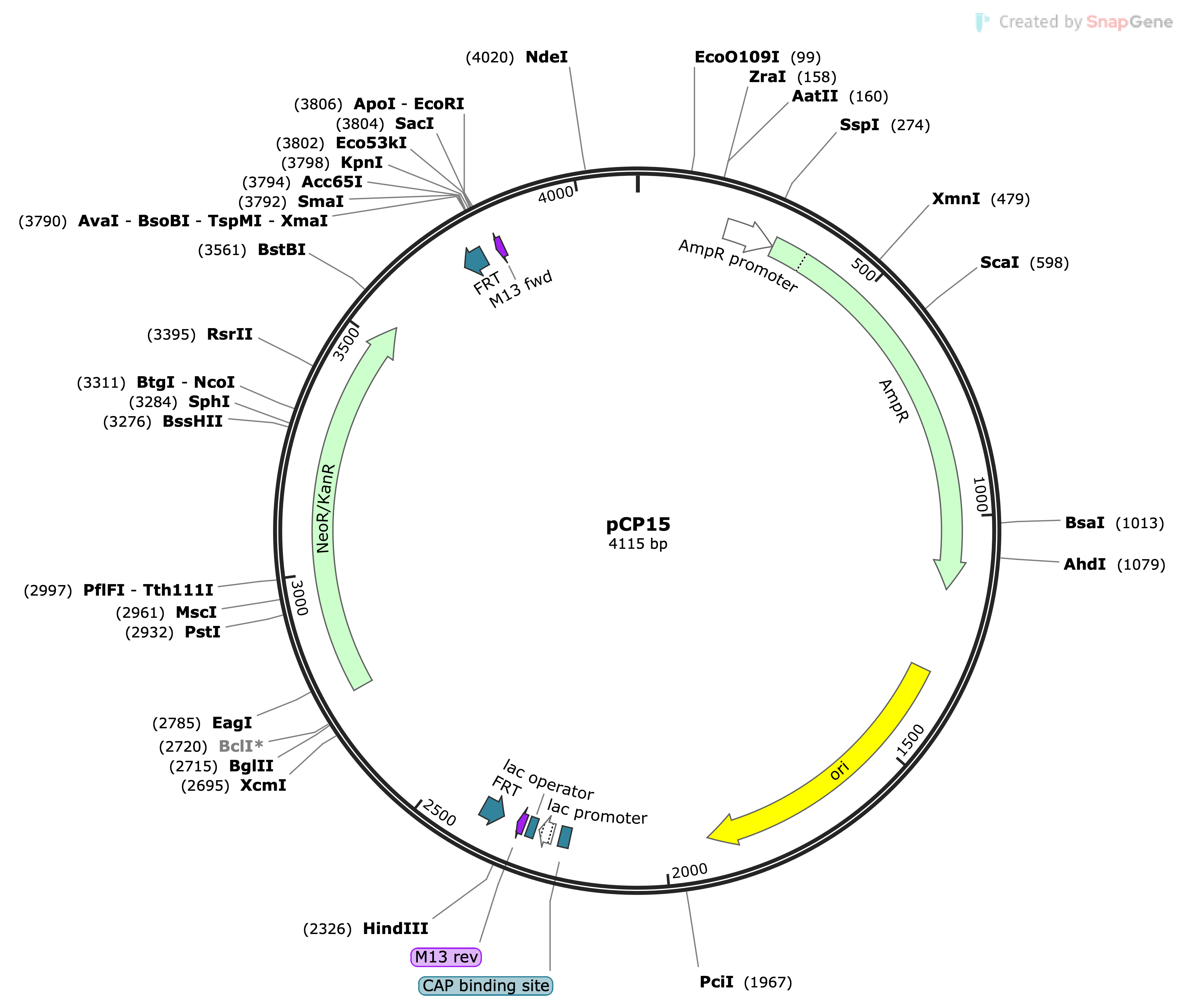 NBRP E.coli Strain