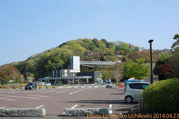 GAIN [Great Ape Information Network]